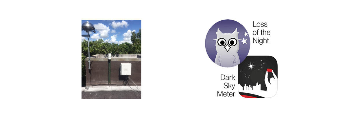 Sustainability Night Sky