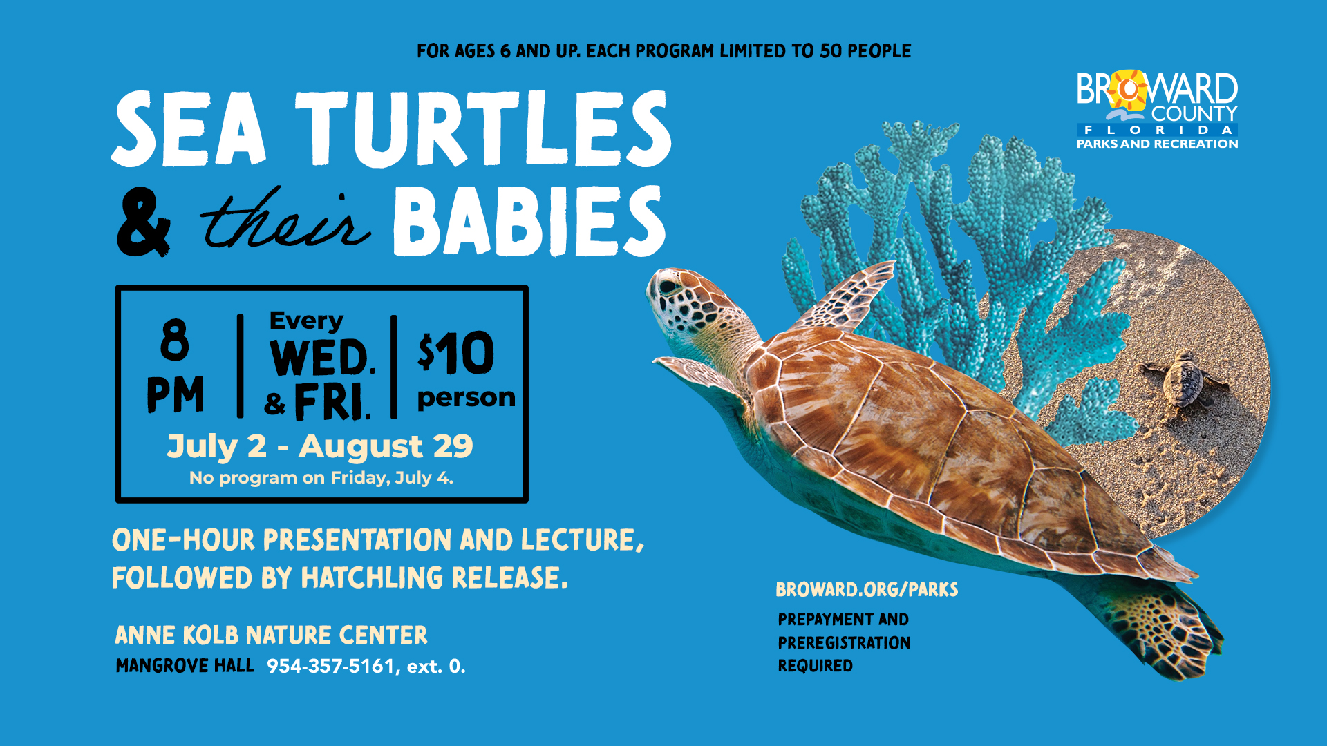 Parks Sea Turtles and Their Babies