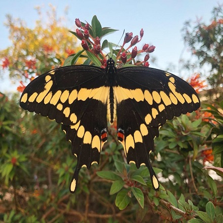 Things To Do Long Key Nature