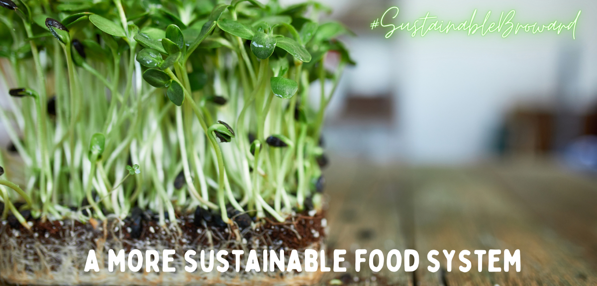 Sustainability Climate-Friendly Eating