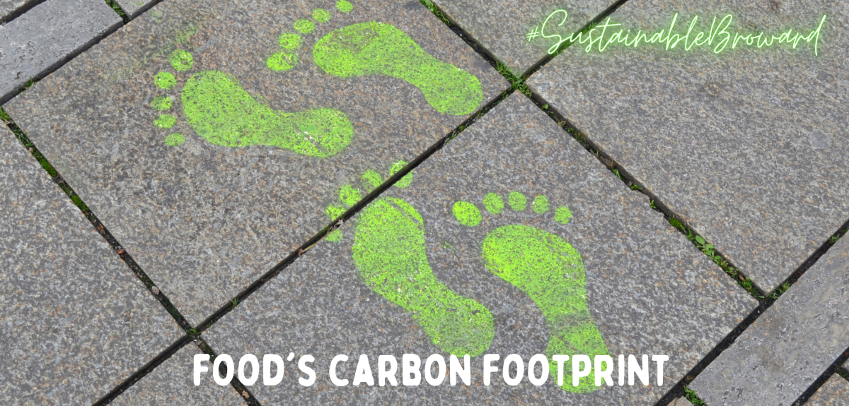 Sustainability Climate-Friendly Eating