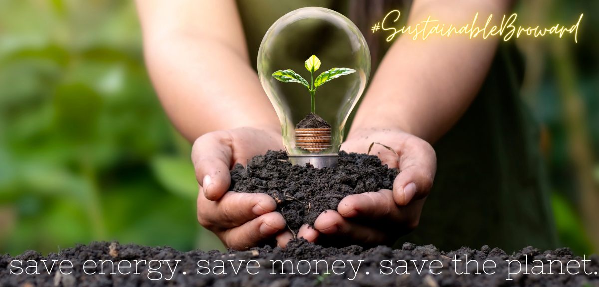 Sustainability Sustainable Energy and Water Use